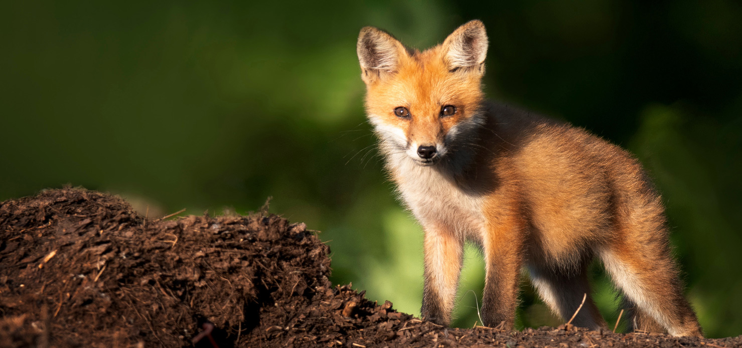 Top Environmental, Engineering & Construction Recruiters